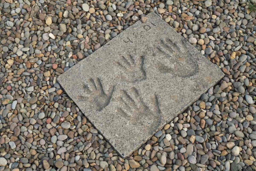 Cute and Creative Handprint Crafts for Kids: 31 Easy DIY Projects for ...