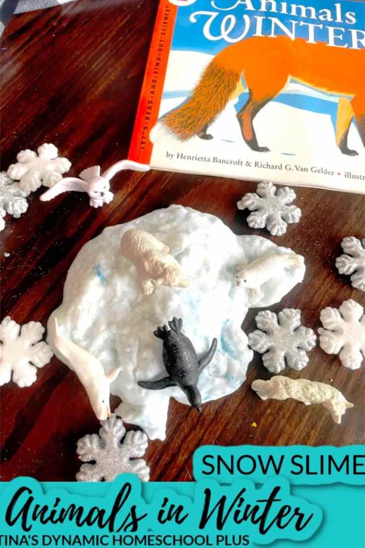 Cozy Up with These 12 Winter Craft Ideas • That Sweet Tea Life